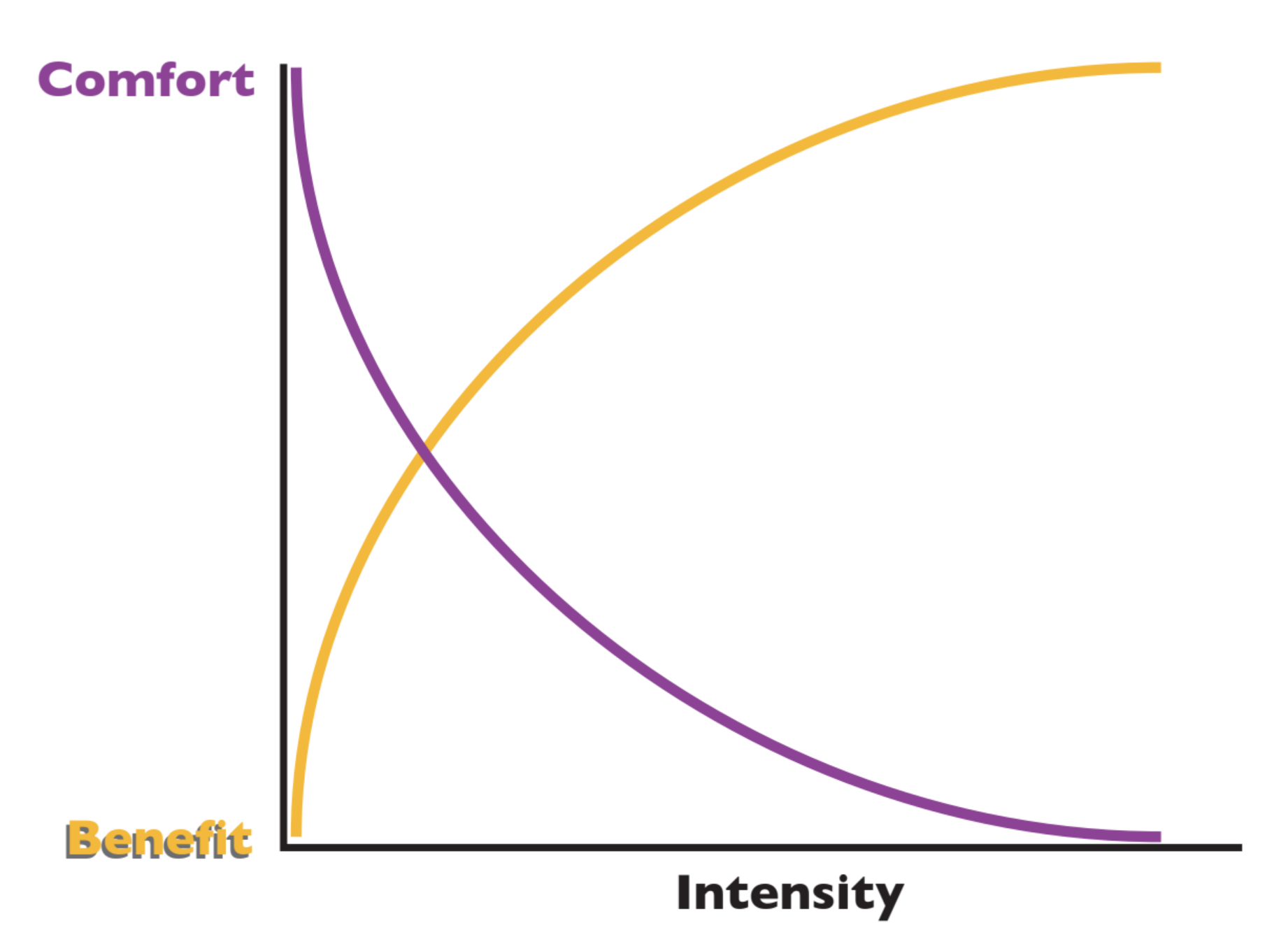 A Beginner's Guide to CrossFit - The Broken Science Initiative