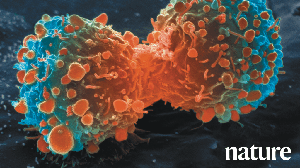 Raise Standards for Preclinical Cancer Research - The Broken Science ...