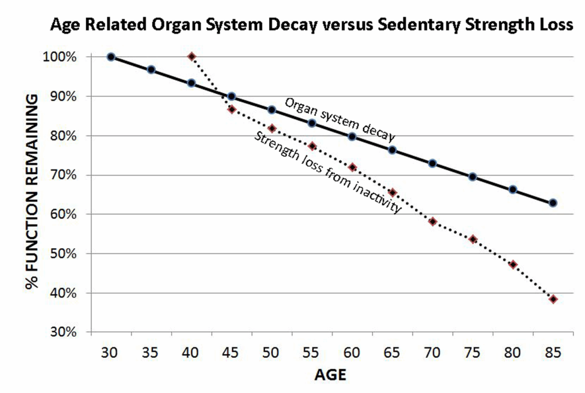 Longevity and Strength: Why do the old get weak? - The Broken Science ...