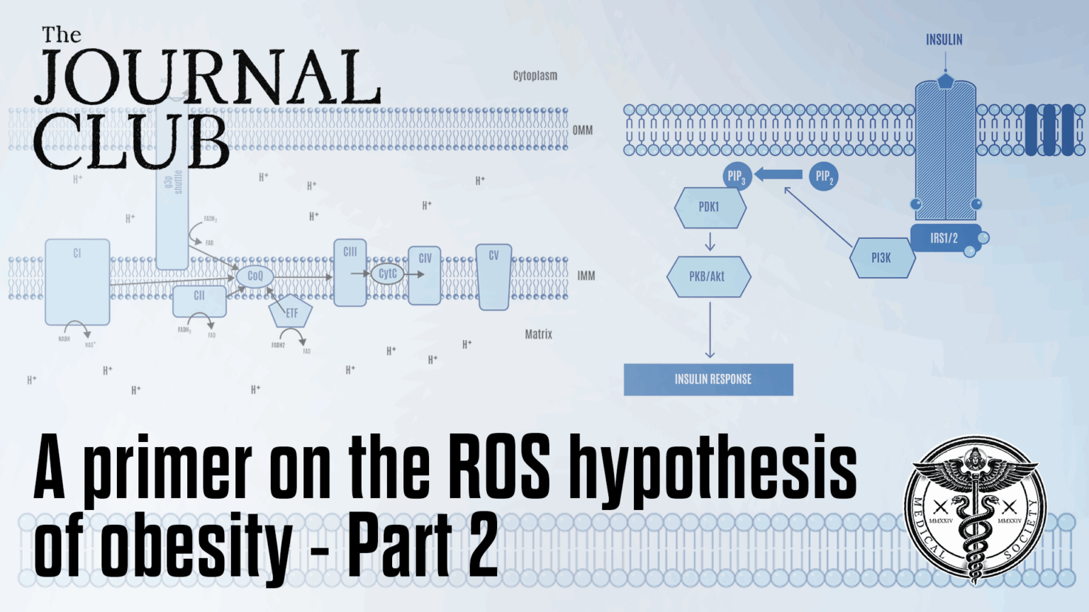 Journal Club with Bob Kaplan and Peter Shaw – A Primer on the ROS ...